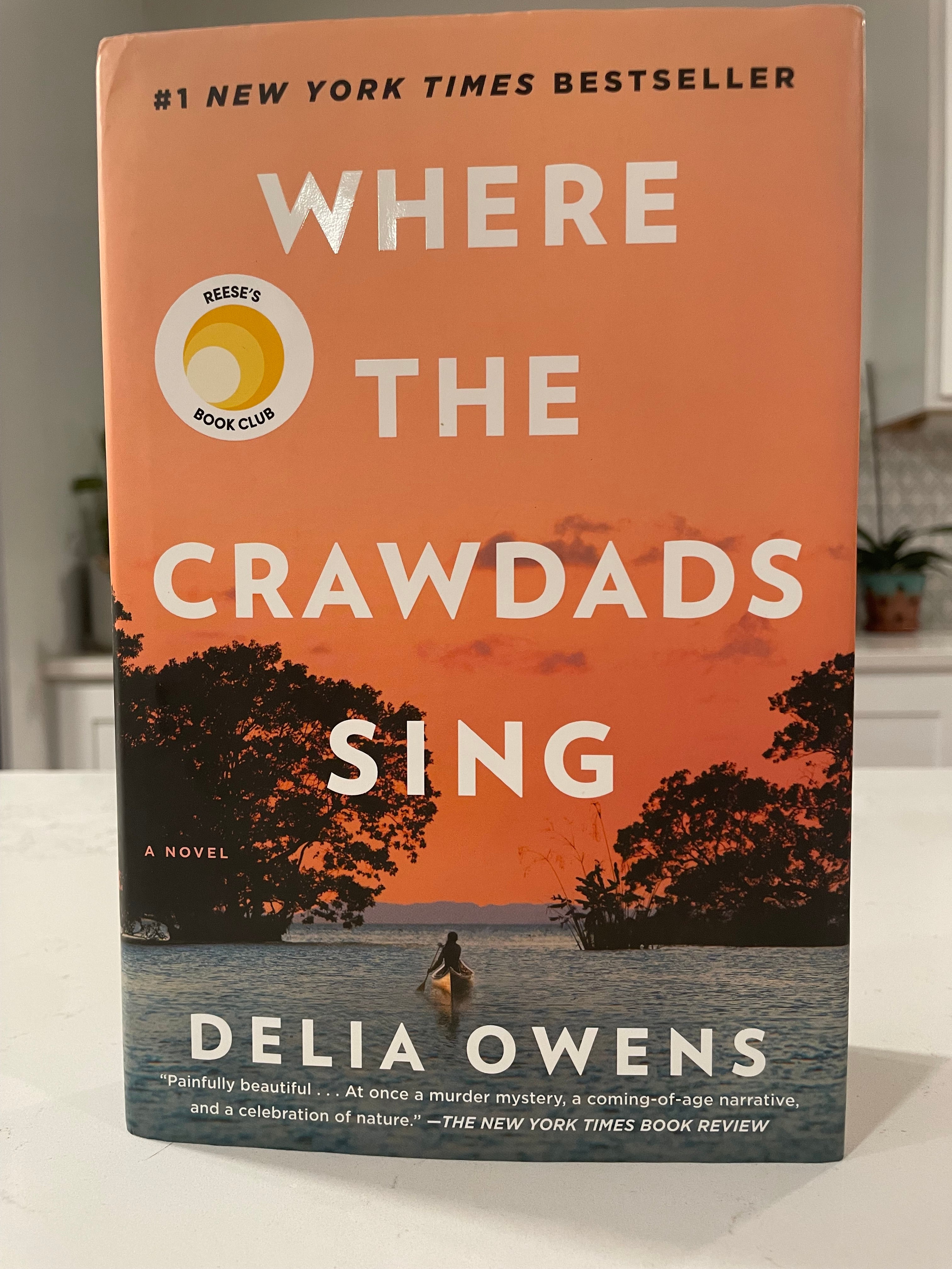 Where The Crawdads Sing (used book) – You Me and a Cup of Tea
